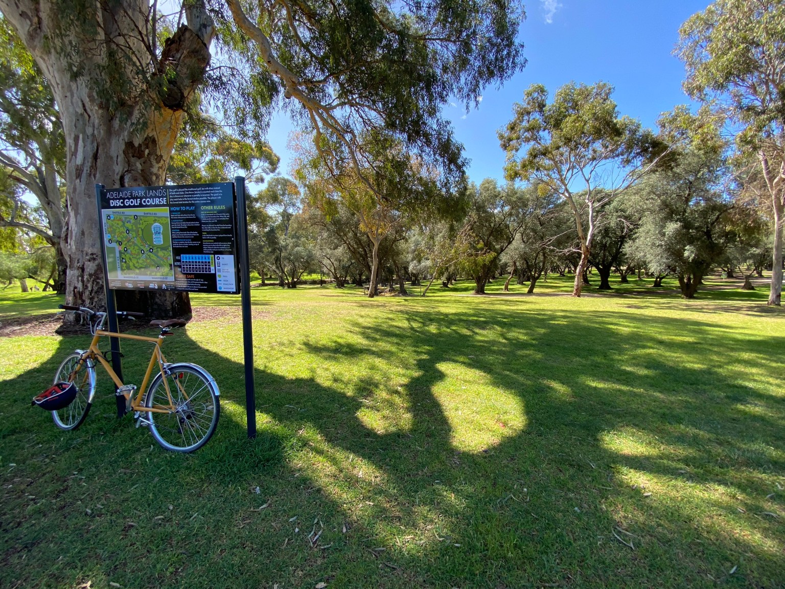 Disc Golf in the Adelaide Park Lands – Altitude to Adelaide