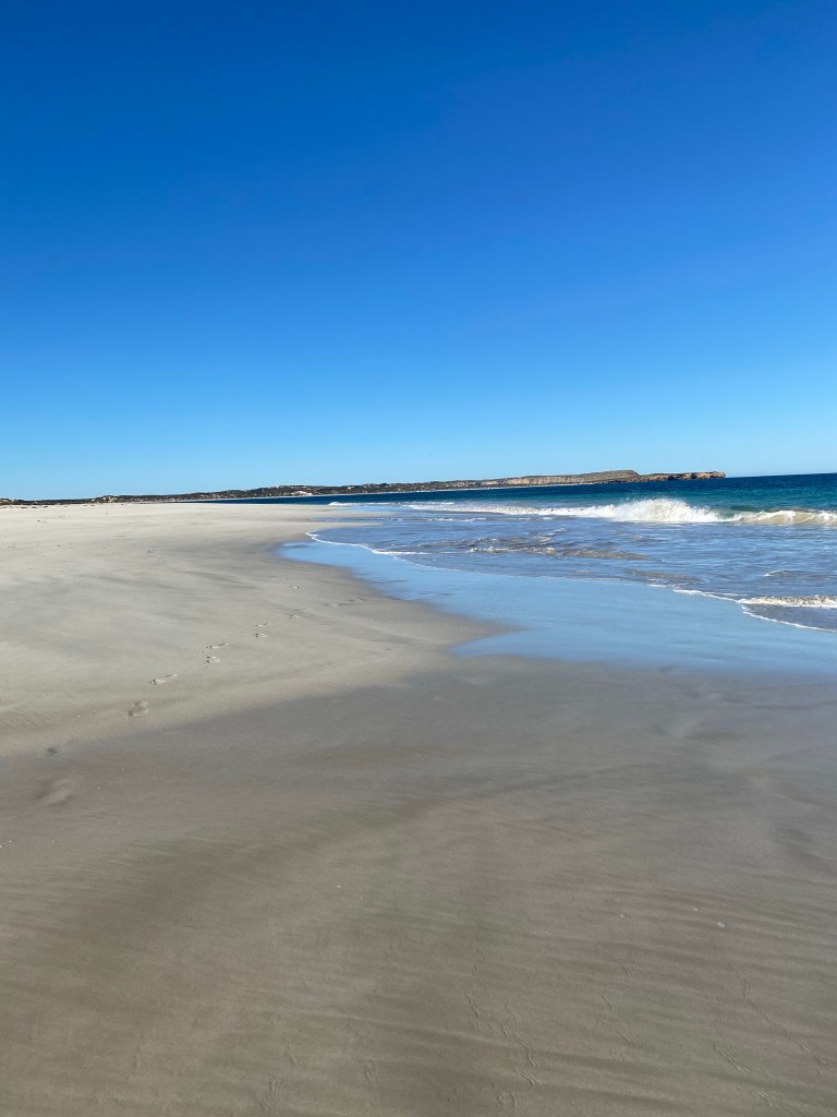 4 Great Beaches at Innes National Park – Altitude to Adelaide