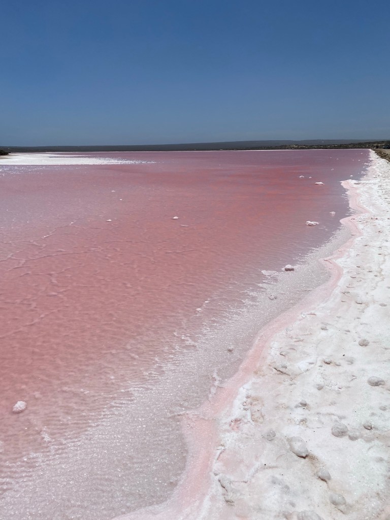 5 Things to Do at Fowlers Bay, South Australia – Altitude to Adelaide