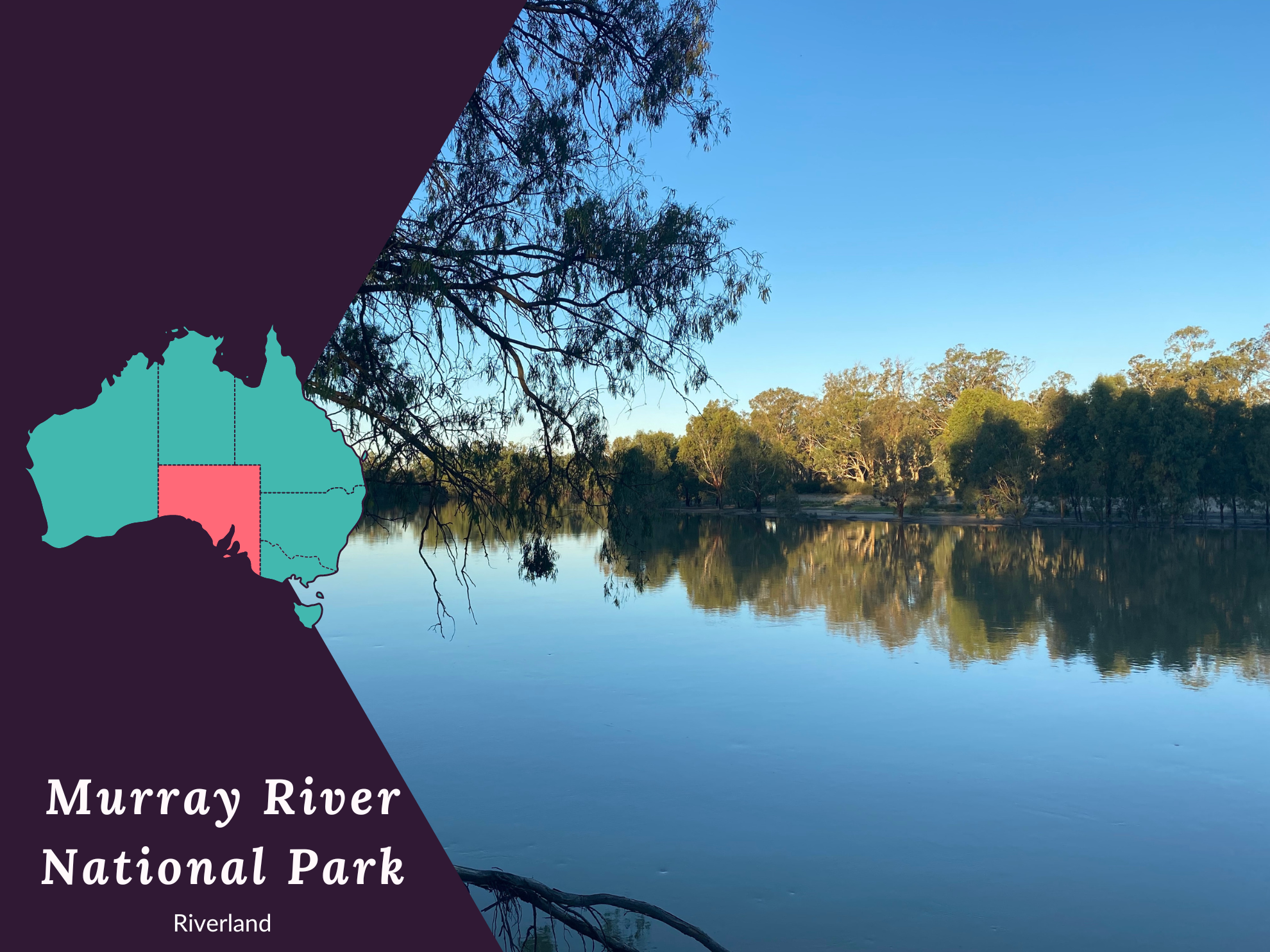 Camping at Murray River National Park – Altitude to Adelaide